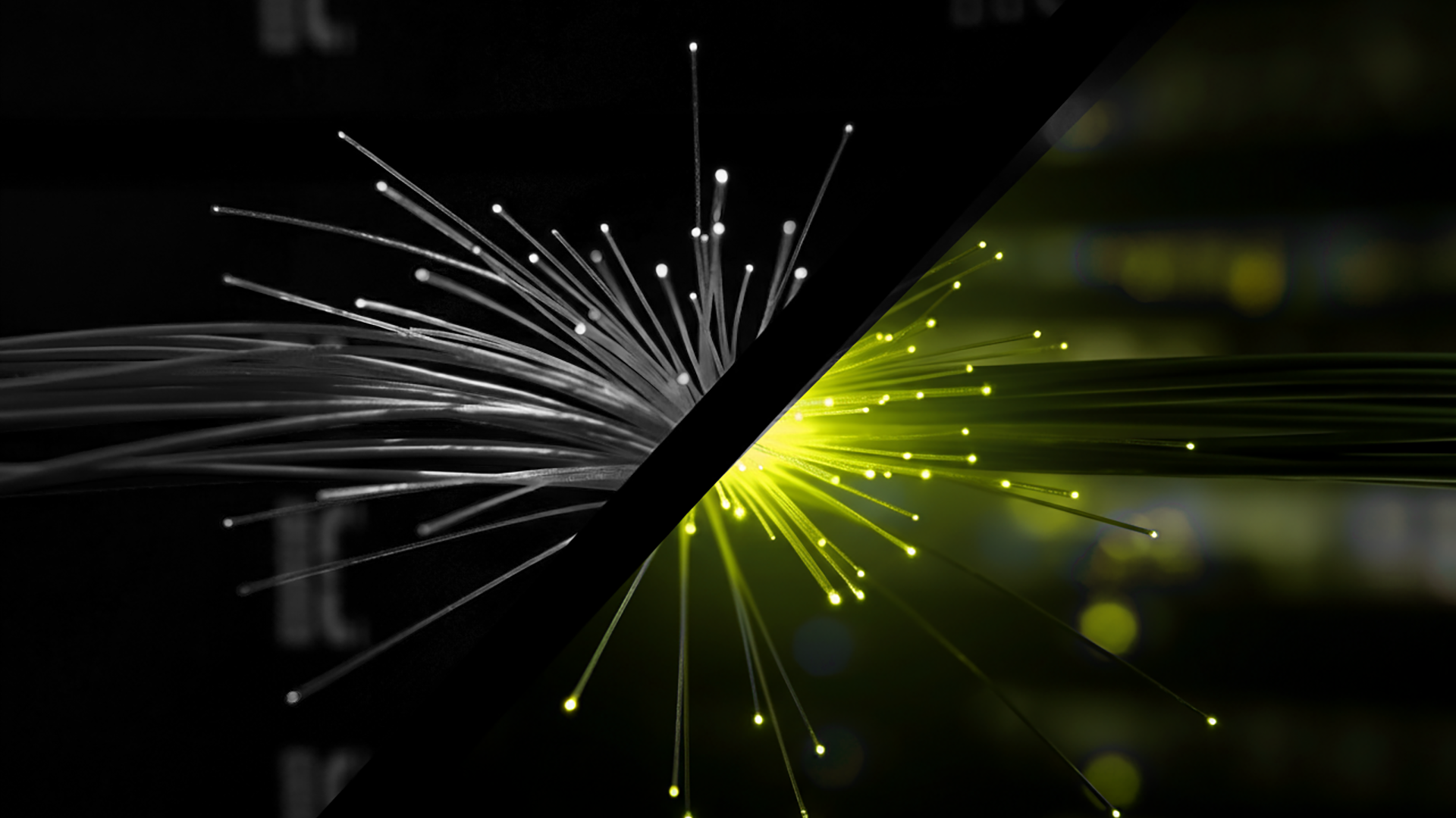 What is Dark Fiber? Dark Fiber vs Lit Fiber Explained | Lightpath
